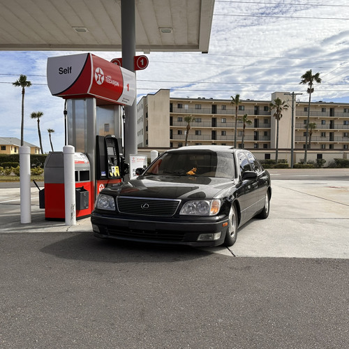 Stream PEDDY TEDDY - STORY MODE 1 by swegmcdeg | Listen online for free ...