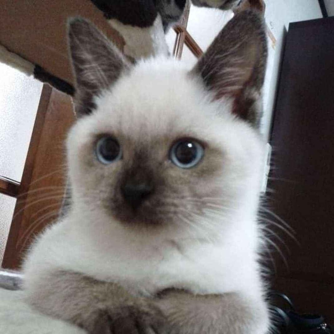 Stream UNRELEASED2.wav by DJ SERIAL | Listen online for free on SoundCloud