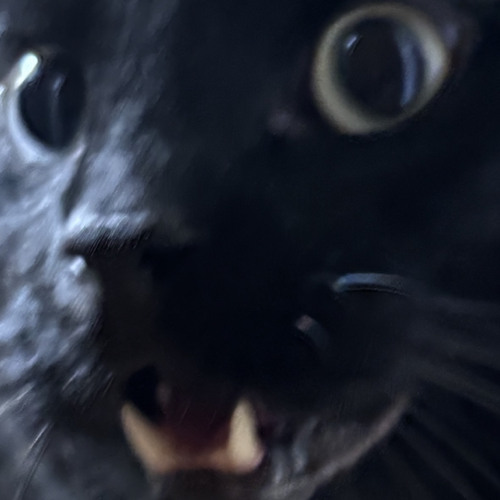 Stream mike wallis id by Ryan Eagleton | Listen online for free on ...