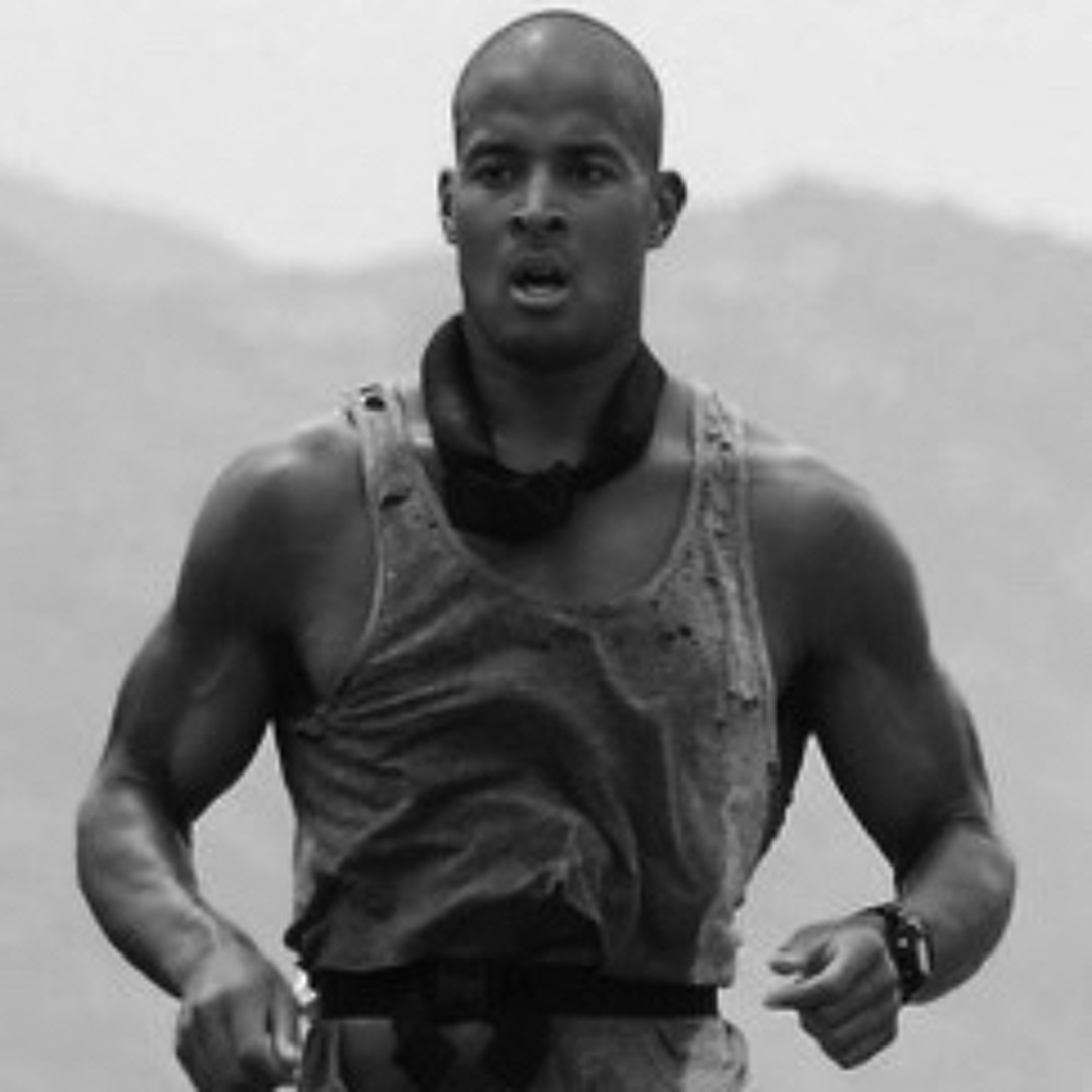 Stream Gallowdance Remix [David Goggins Edition] by I2ecover | Listen ...