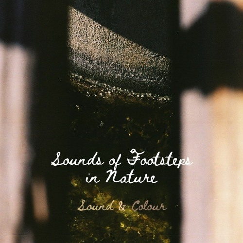 Stream Sound & Colour: Special Episode – Sounds Of Footsteps In Nature ...