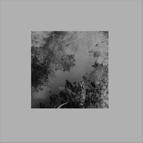 Stream Dissolution by Daniel Ottini | Listen online for free on SoundCloud