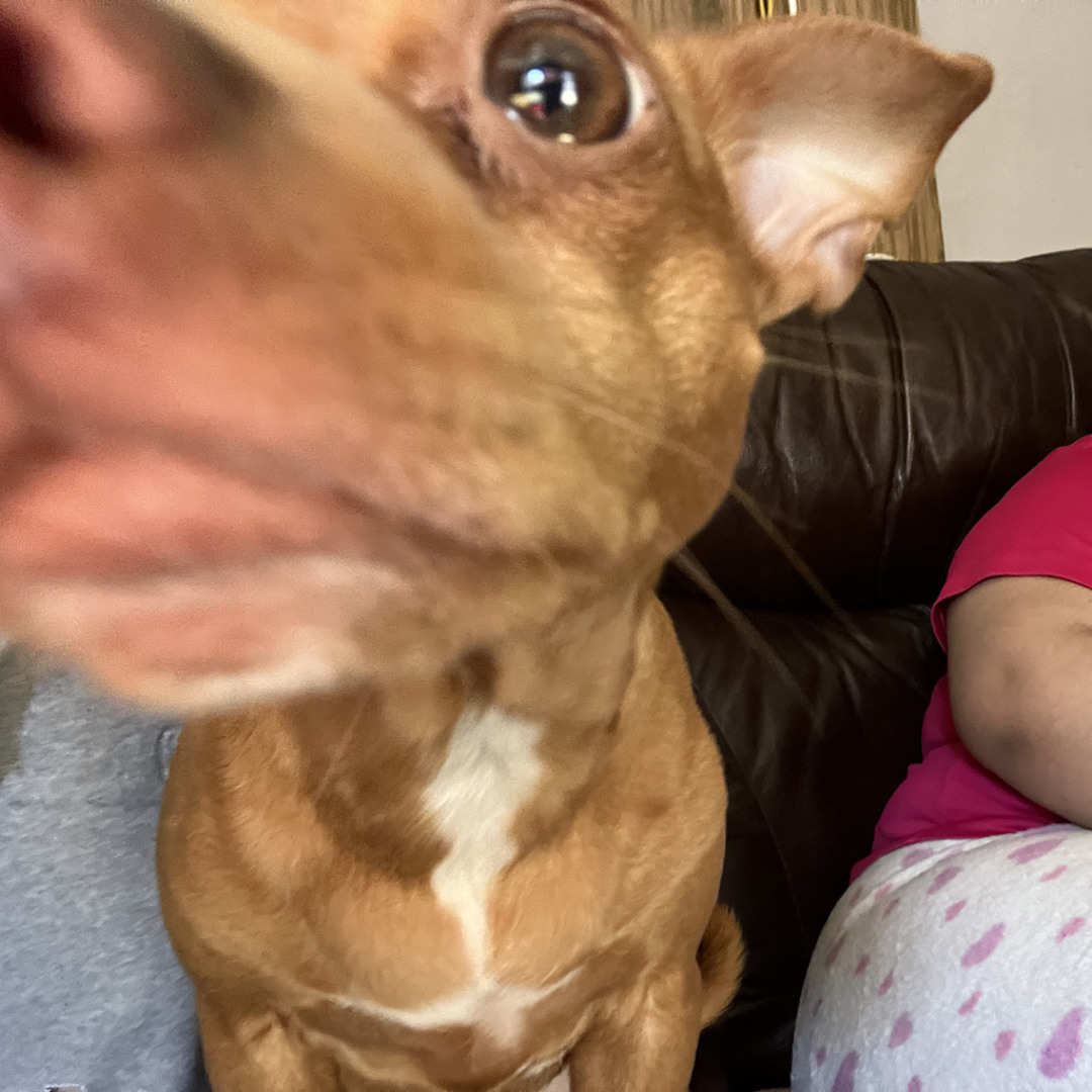 Stream Juice WRLD - Curse In Me (UNRELEASED) [Prodby.4L].mp3 by ...