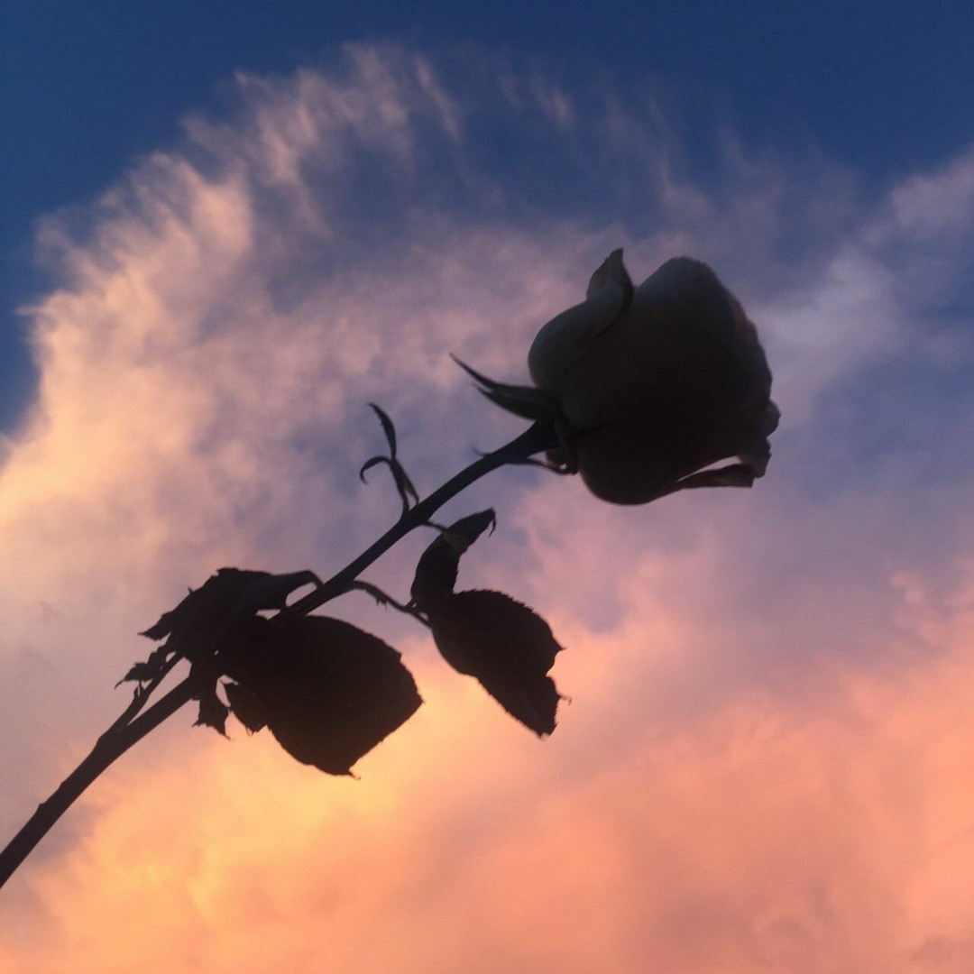 Stream let's fly away w/ ocluse by lucas laze | Listen online for free ...