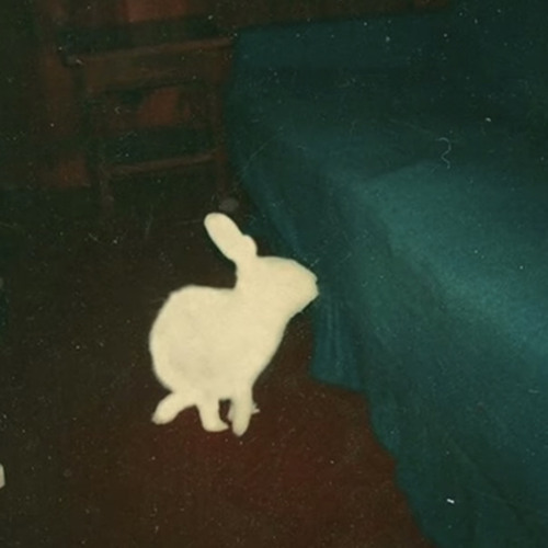 Stream What is da problem? by 5k.Møncler† | Listen online for free on ...