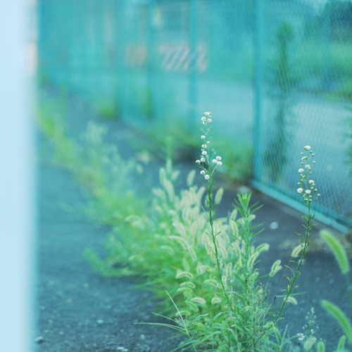 Stream Language at the Sky (Porter Robinson Mashup by Static Symphony ...