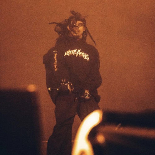 Stream Playboi Carti - Flex (2nd Verse only) (slowed + reverb) by ...