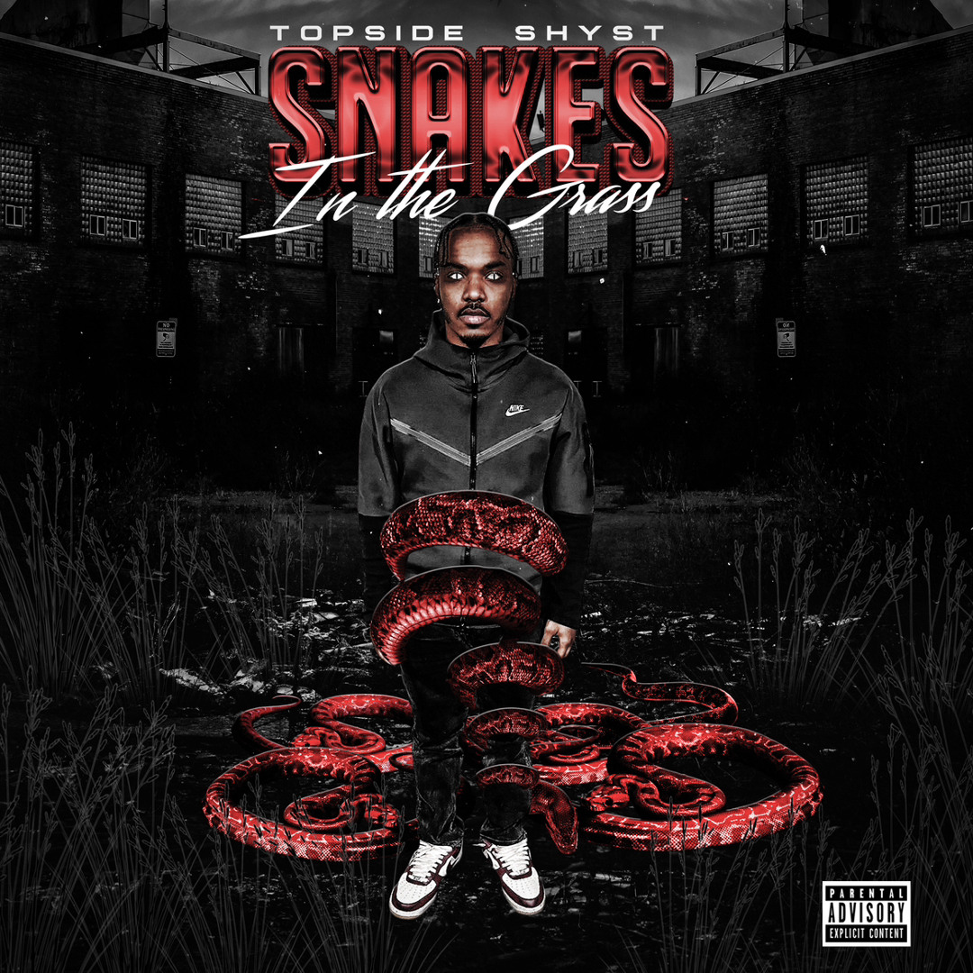 Stream SNAKES IN THE GRASS (Prod. Darko) by Topside ShysT | Listen ...