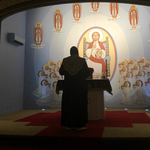 Stream Marina Botros | Listen to Fr Anastasi playlist online for free ...