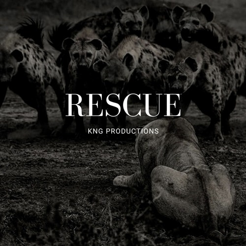 KNG PRODUCTIONS | Instagram | Linktree