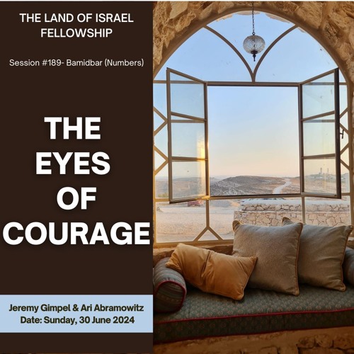 Stream The Eyes of Courage: The Land of Israel Fellowship by The Land ...