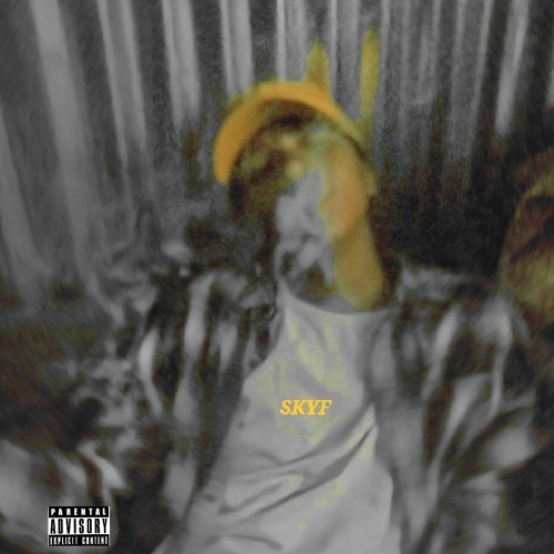 Stream Skyf ( w G-dude, Tall-racks & Aymmow ) by IRIES BEATZ | Listen ...