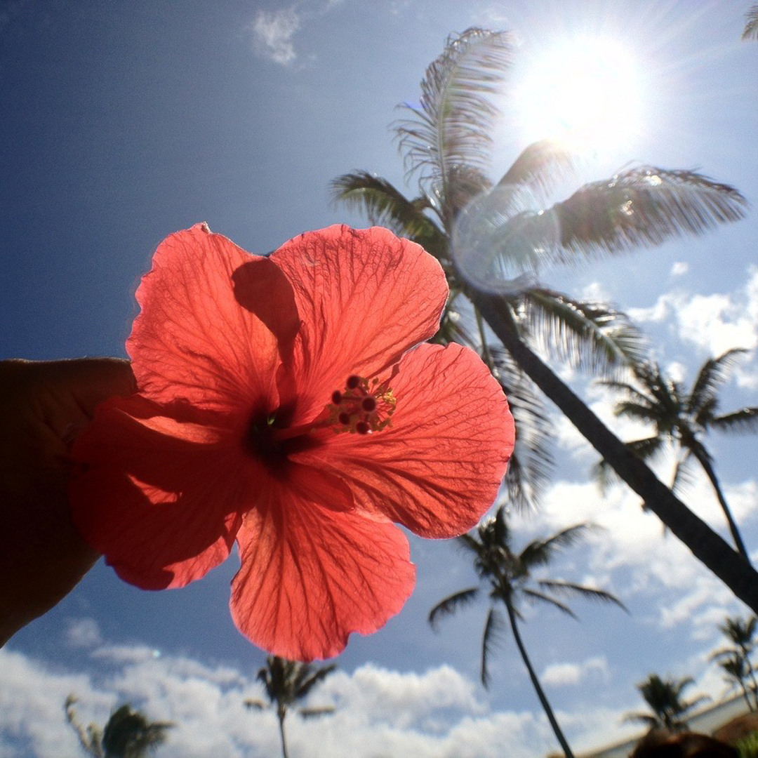Stream Ozeky And Dometo - Chuukese - Marshallese Collaboration Song ...