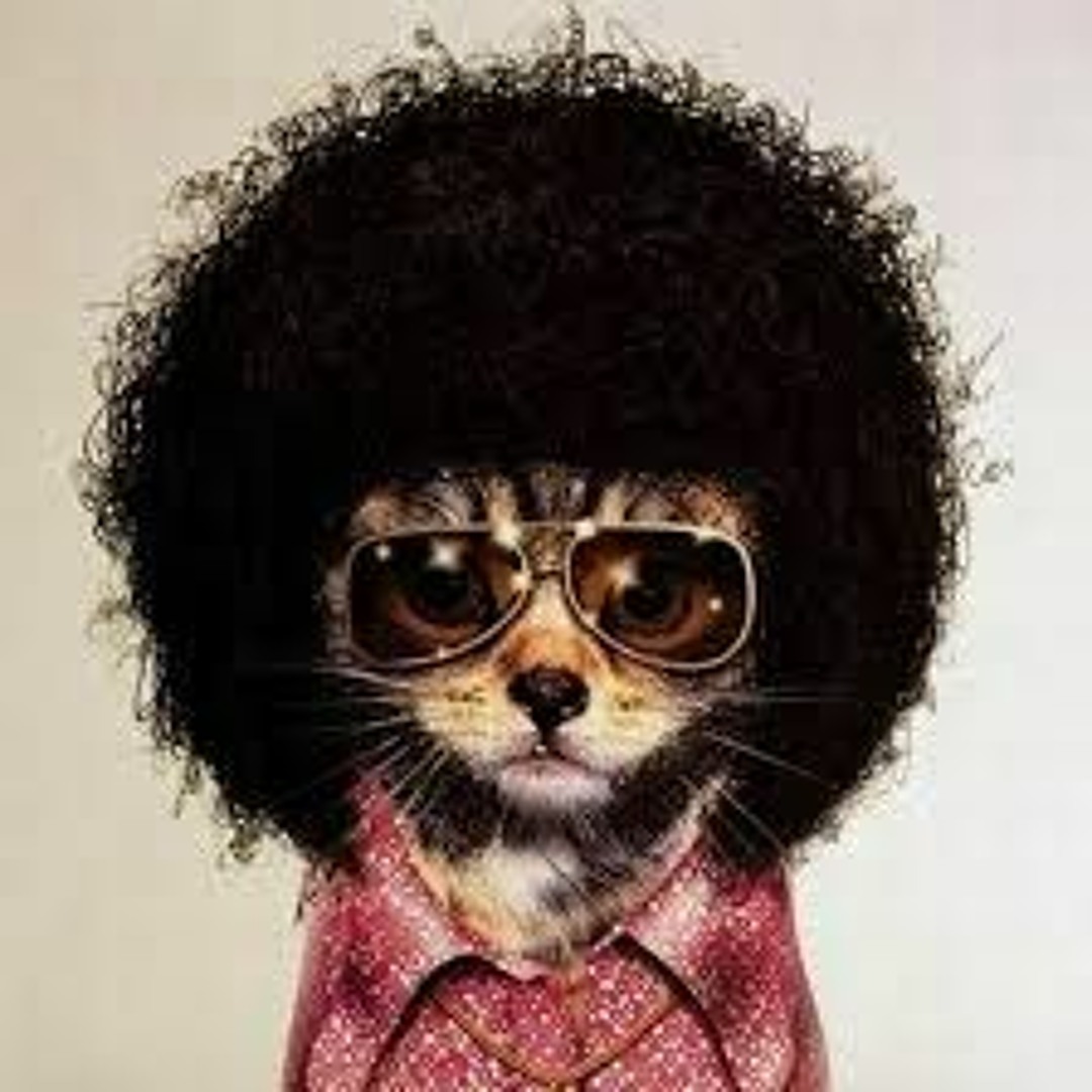 Stream Joey | Listen to Disco Funk playlist online for free on SoundCloud
