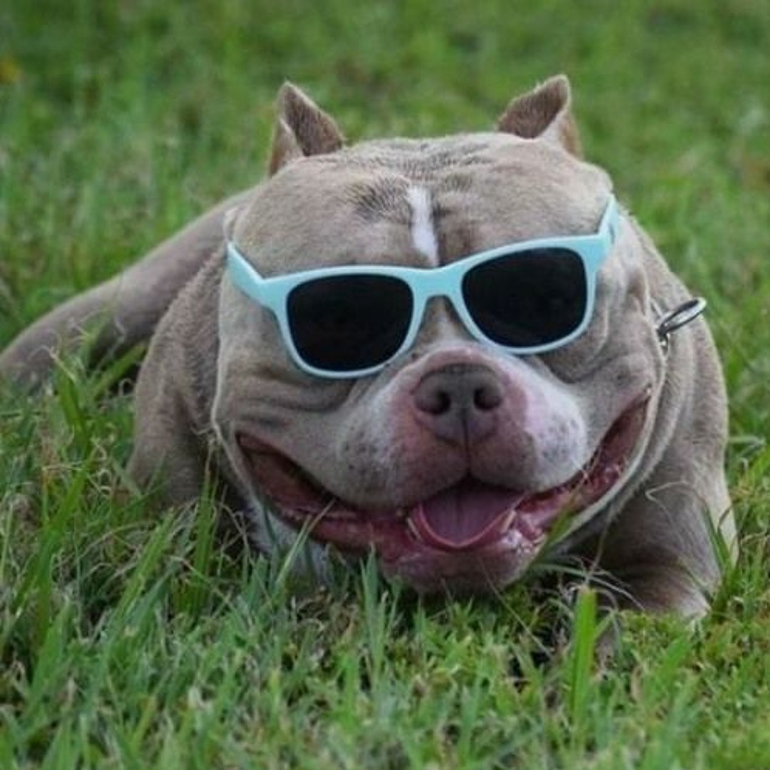 Stream Playboi Carti - Buffy The Body (unreleased) by percent | Listen ...