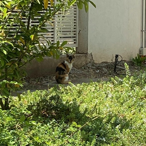 Stream Picsie | Listen to Untitled Playlist playlist online for free on ...