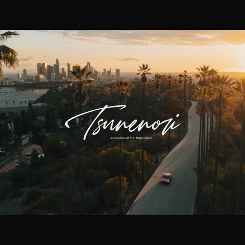 Stream Fire Red Bird Whistle by Tsunenori | Listen online for free on ...