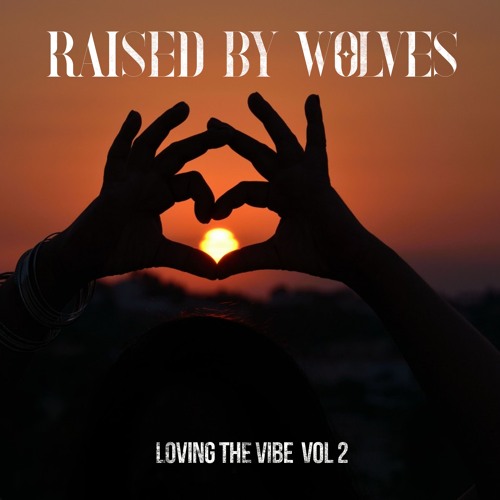 Stream Loving The Vibe Vol. 2 by Raised By Wolves | Listen online for ...
