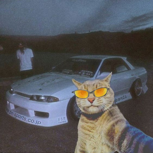 RALLY FUNK - Listen to music