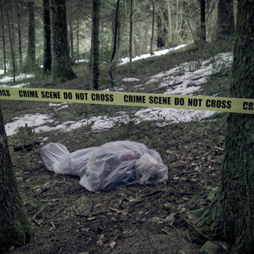 Stream Lyrical Bodybags by Fabled Mic | Listen online for free on ...