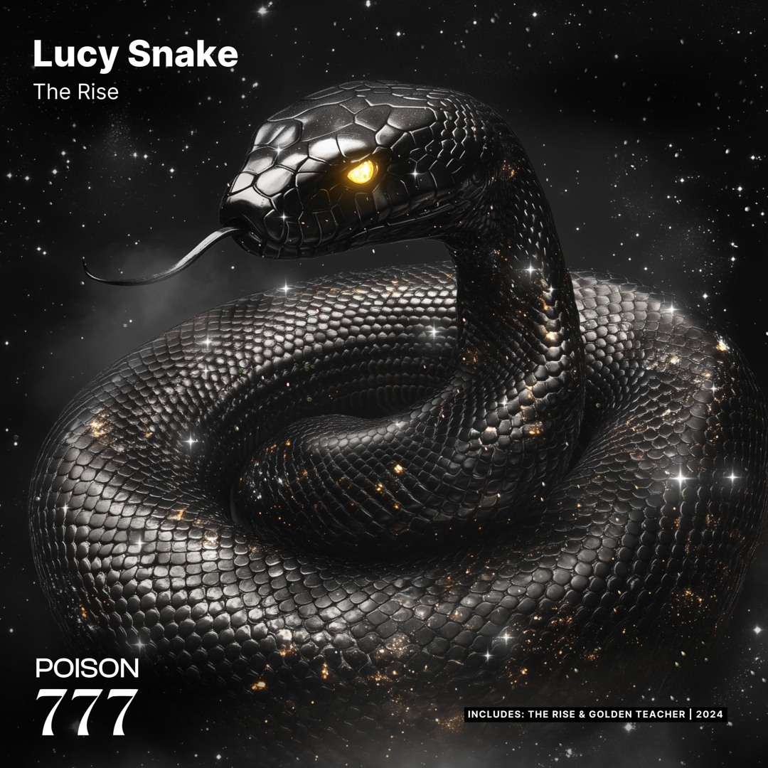 Stream The Rise - Lucy Snake by Lucy Snake | Listen online for free on SoundCloud