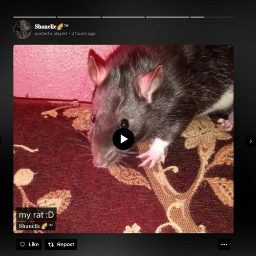 Stream ★☆Itz[Xx_ 𝐤øᴋ𝐈çh1-𝐤UnXD Yb Eç𝐈ps3]☆★ | Listen to Wait you ...