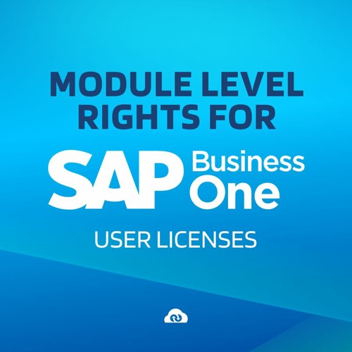 Stream episode Module Level Rights For SAP Business One User Licenses ...
