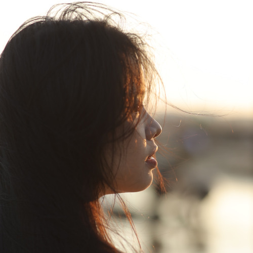 Stream Người Ôm Pháo Hoa - Đông Nhi x DTAP by Thúy Vy | Listen online for free on SoundCloud