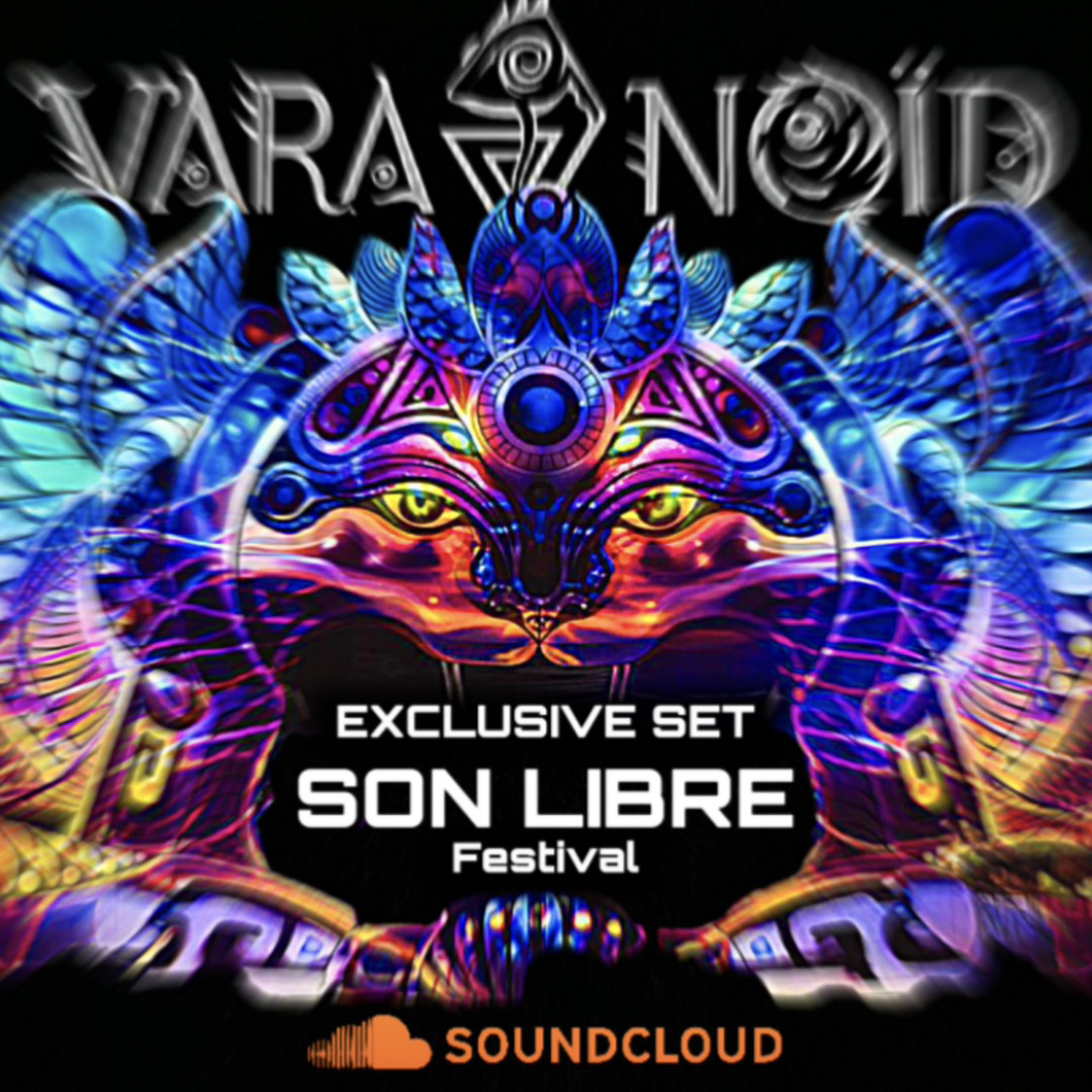 Stream VARANOÏD - SON LIBRE FESTIVAL 11/05/24 : 23h00 by VARANOÏD ...