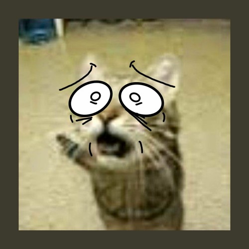 Stream Meow Synth Bossa Nova by Prostě Šepta | Listen online for free ...