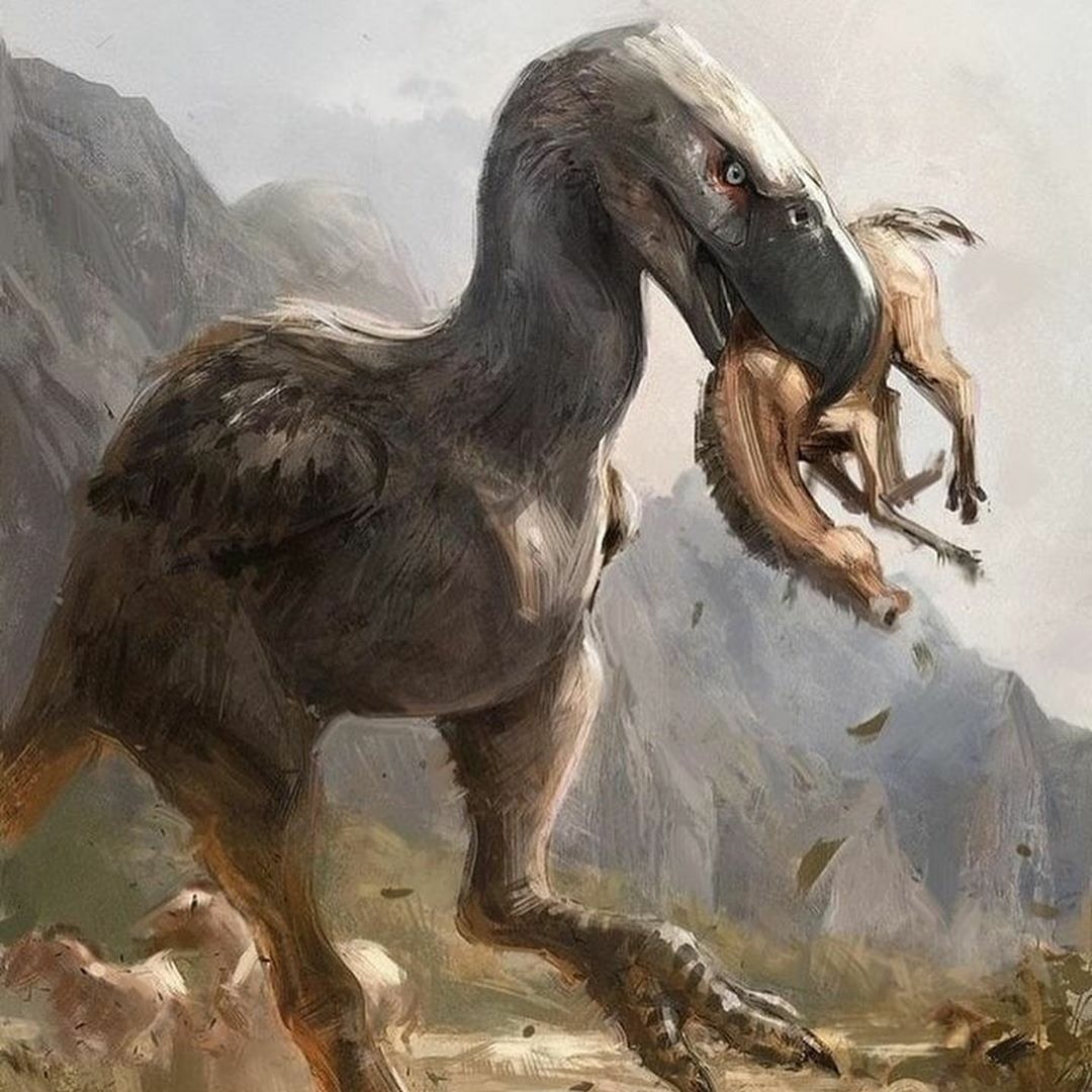 Stream episode Ecology of the Terror Birds by Hunters Hub podcast ...