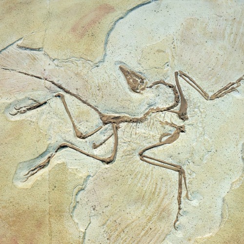 Stream Abyssal Plain - Valley Of Bones by Abyssal Plain | Listen online ... Stream Abyssal Plain - Valley Of Bones by Abyssal Plain | Listen online ...