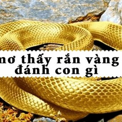 Stream Ngủ mơ thấy rắn vàng điềm báo điều gì? by OX BET DUBAI | Listen ...
