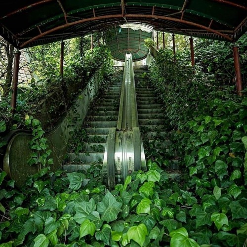 Stream SoulSearchAndDestroy | Listen to Palm Mall Memories (Vaporwave ...