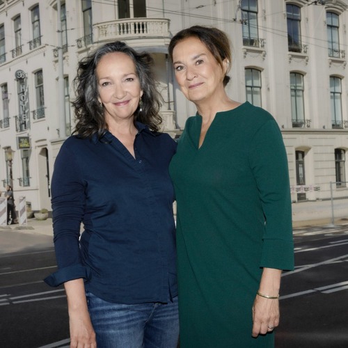 Stream Episode De Schrijvers Aan Het Woord Sabine Van Den Eynden By Pluimcast Podcast Listen