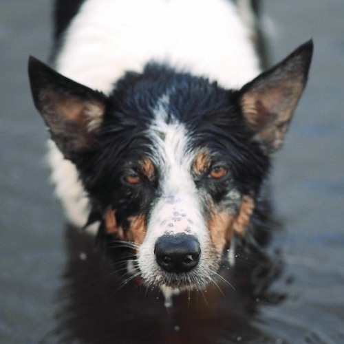 Stream Overmono - So U Kno (Tats K Edit) by Tats K. | Listen online for ...