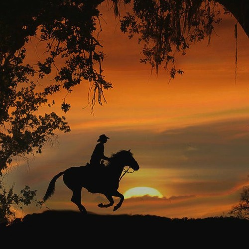 Stream Lone Rider - Original Spaghetti Western by John Cortese | Listen ...