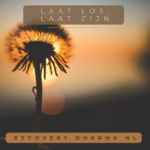 Stream Laat los, laat zijn by Recovery Dharma Nederland | Listen online ...
