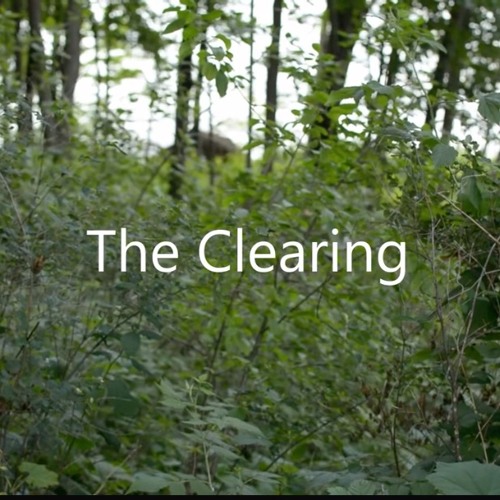 Stream The Clearing (Main Theme) by Christie Chiles Twillie - Sound ...