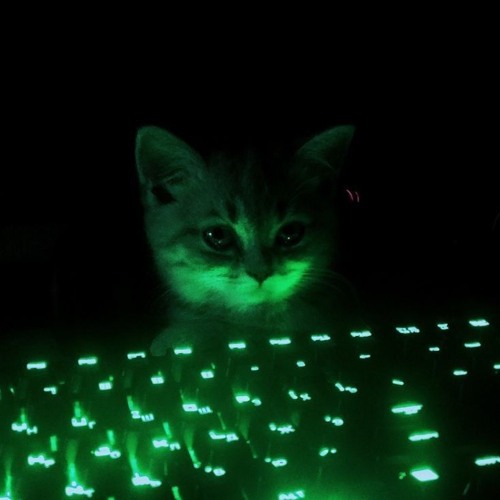 IVOXYGEN - FAN - Listen to music