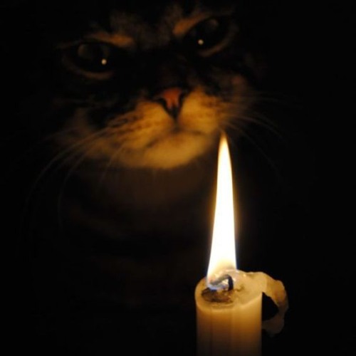 Stream warehouse by pointblank | Listen online for free on SoundCloud