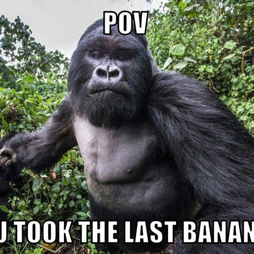 Stream monke monke by Wesley Pyle | Listen online for free on SoundCloud