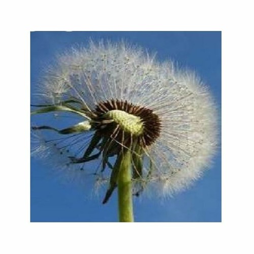 Stream OTL 14 Dec 23 - Patrick Daly - 1 John - From Light To Darkness by On The Level | Listen ...