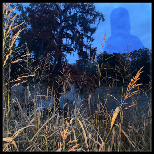 Stream GNARP GLEEBLE | Listen to While We Wait playlist online for free ...