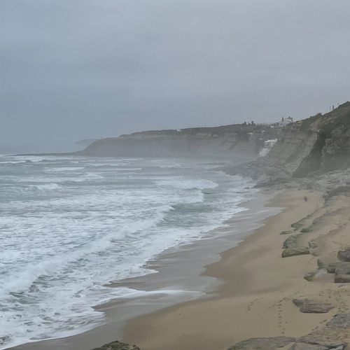 Stream 12 March 2024 by Random Prophecies | Listen online for free on ...