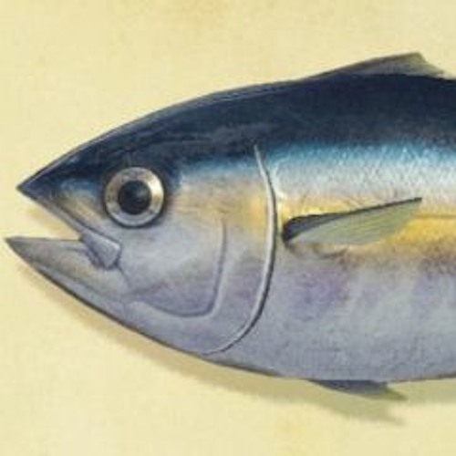 Stream episode Ode to a Large Tuna by Pablo Neruda (translated) by ...