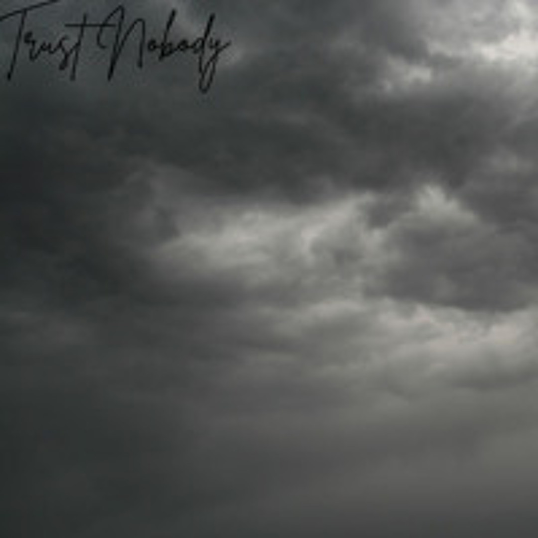 Stream Trust Nobody (prod. JXTRHO) by Perquility | Listen online for ...