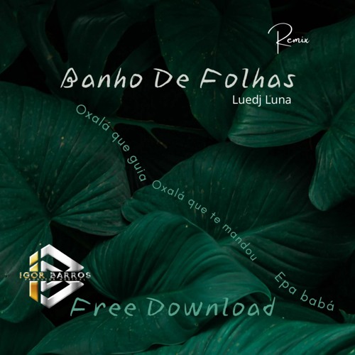 pumpyoursound.com | Banho de Folhas-Luedji Lunas (IGOR BARROS REMIX)