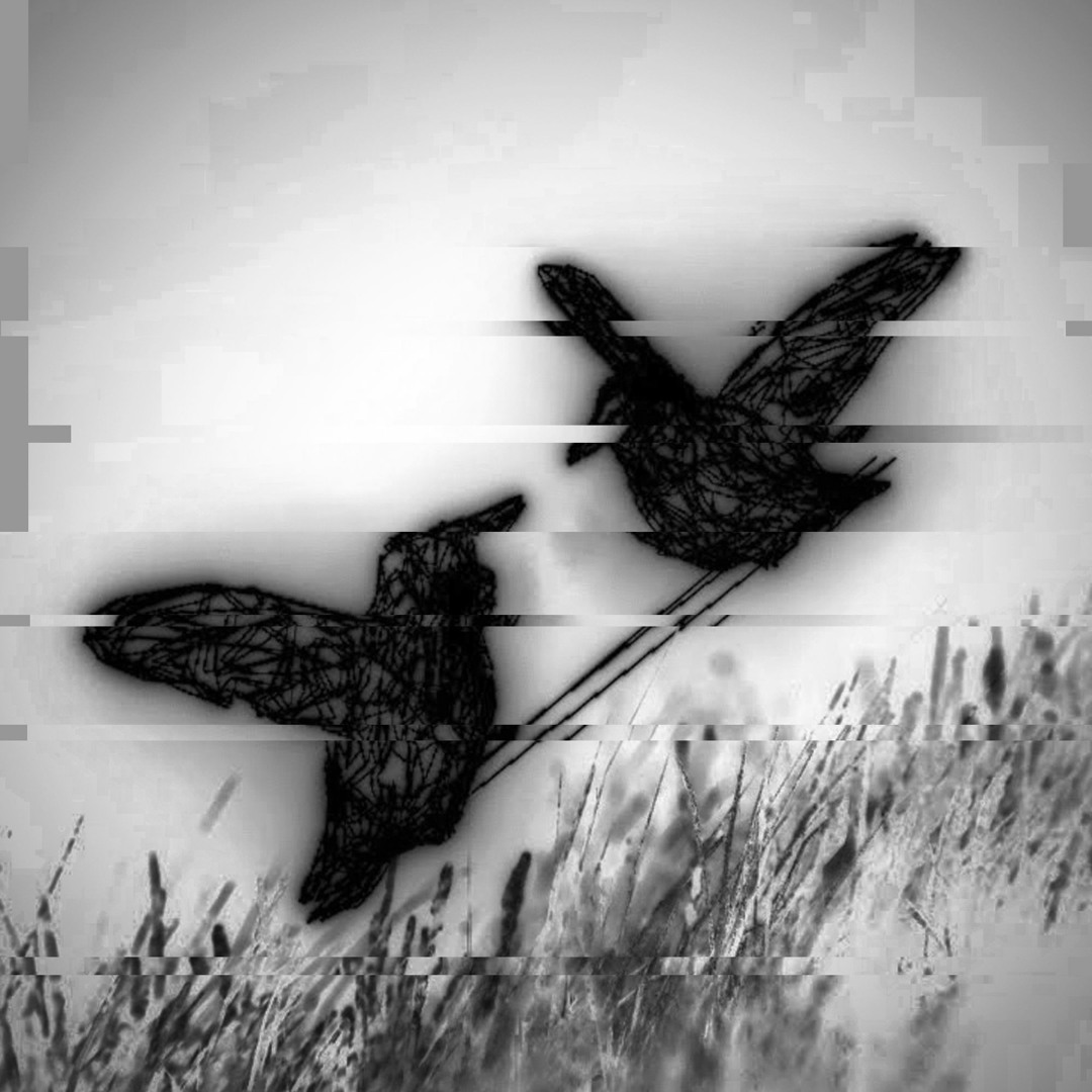 Stream Porter Robinson - Dullscythe (Glitch Cat Remix) by Glitch Cat ...