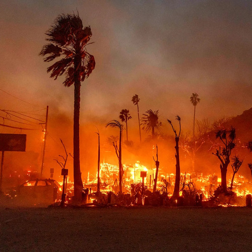 Stream Expert Insights: Prof. Guy Midgley on climate change's role in ...